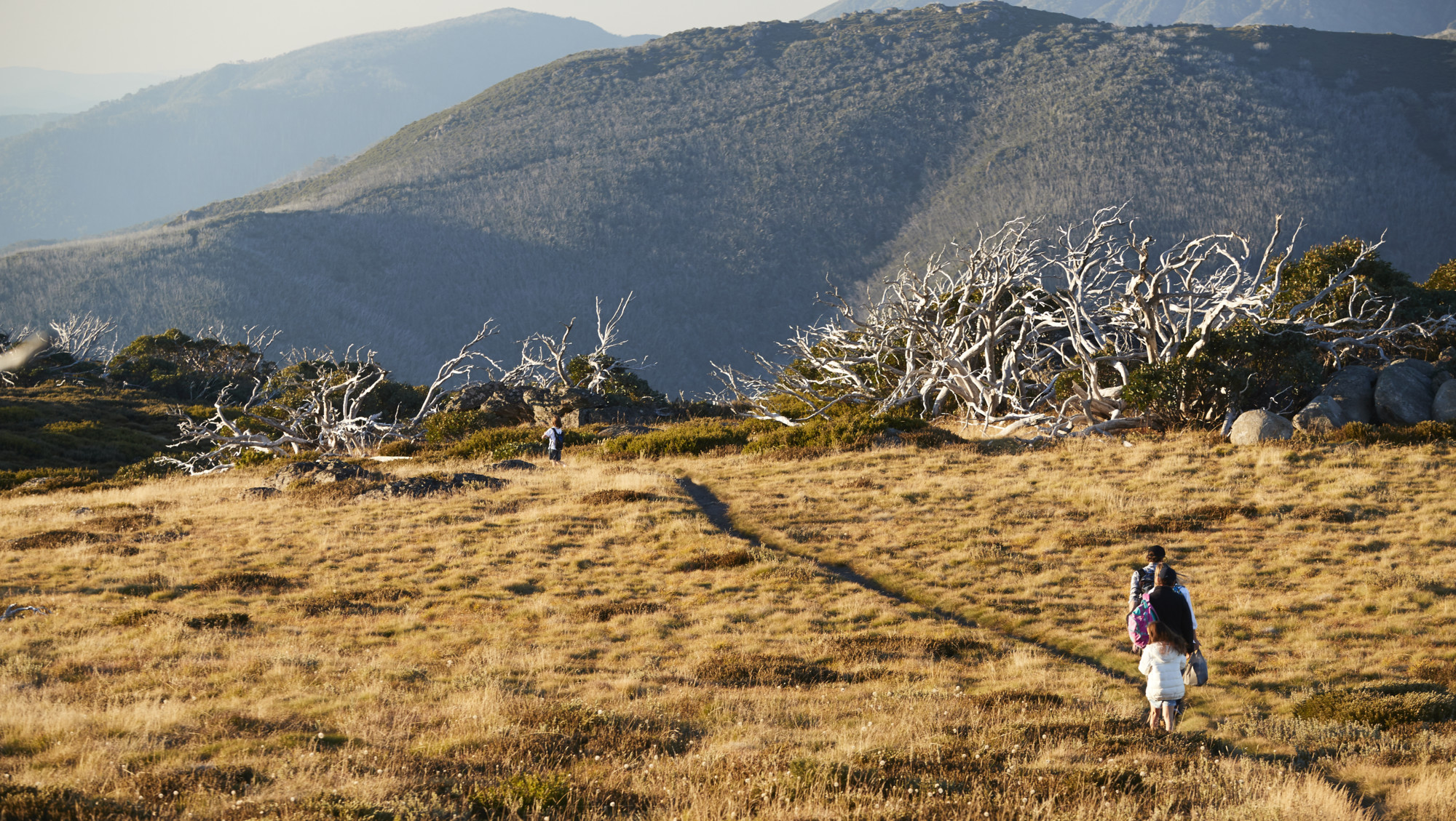 Advertising opportunity for businesses: Victoria's High Country Guide ...