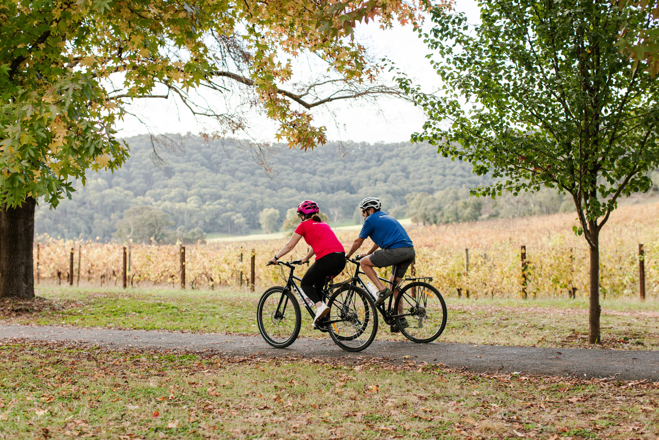 Expressions of Interest now open for Victorian Artists and residents to ...