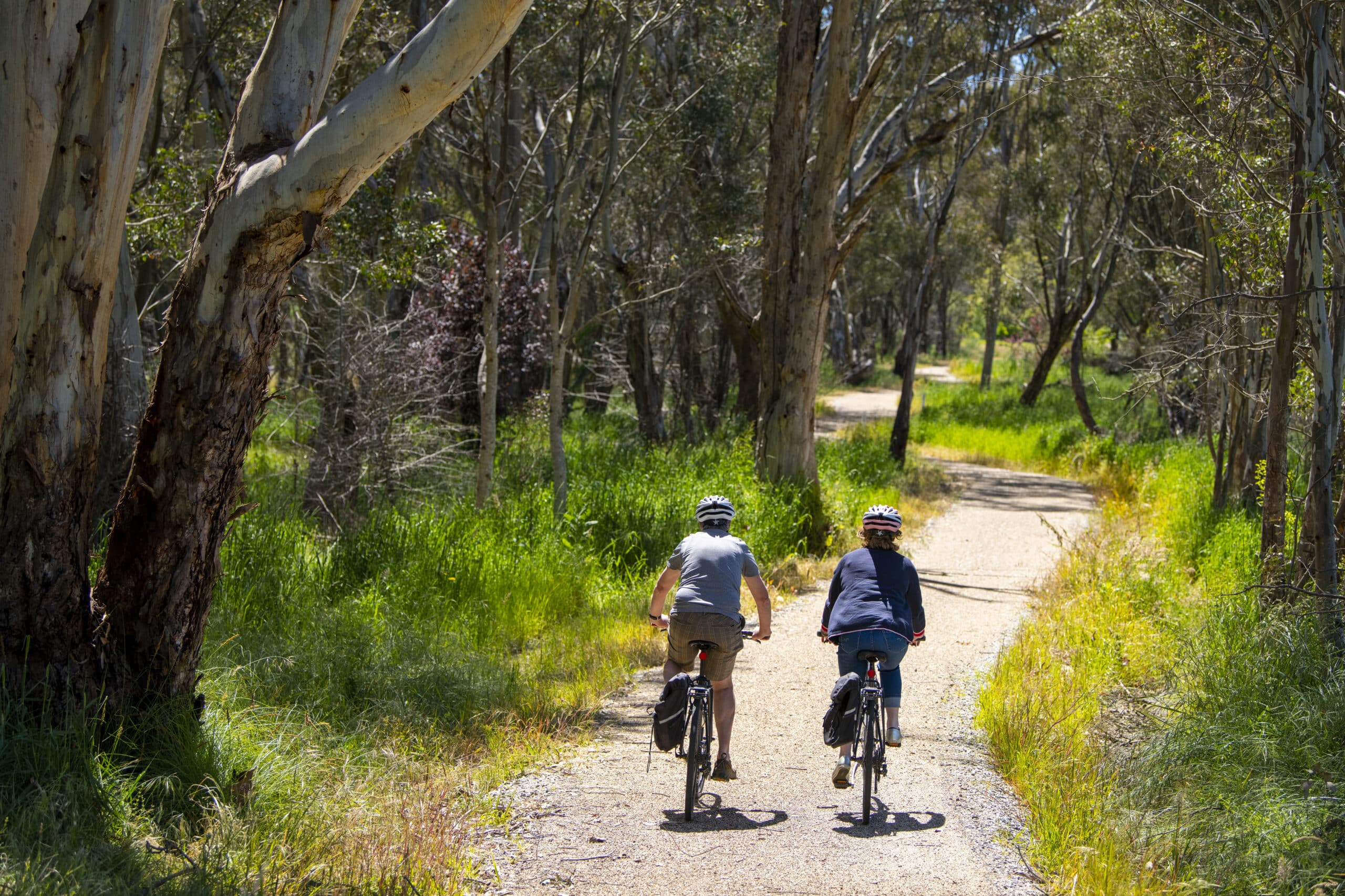 Murray to Mountains Rail Trail Enhancements Project Updates – Indigo ...