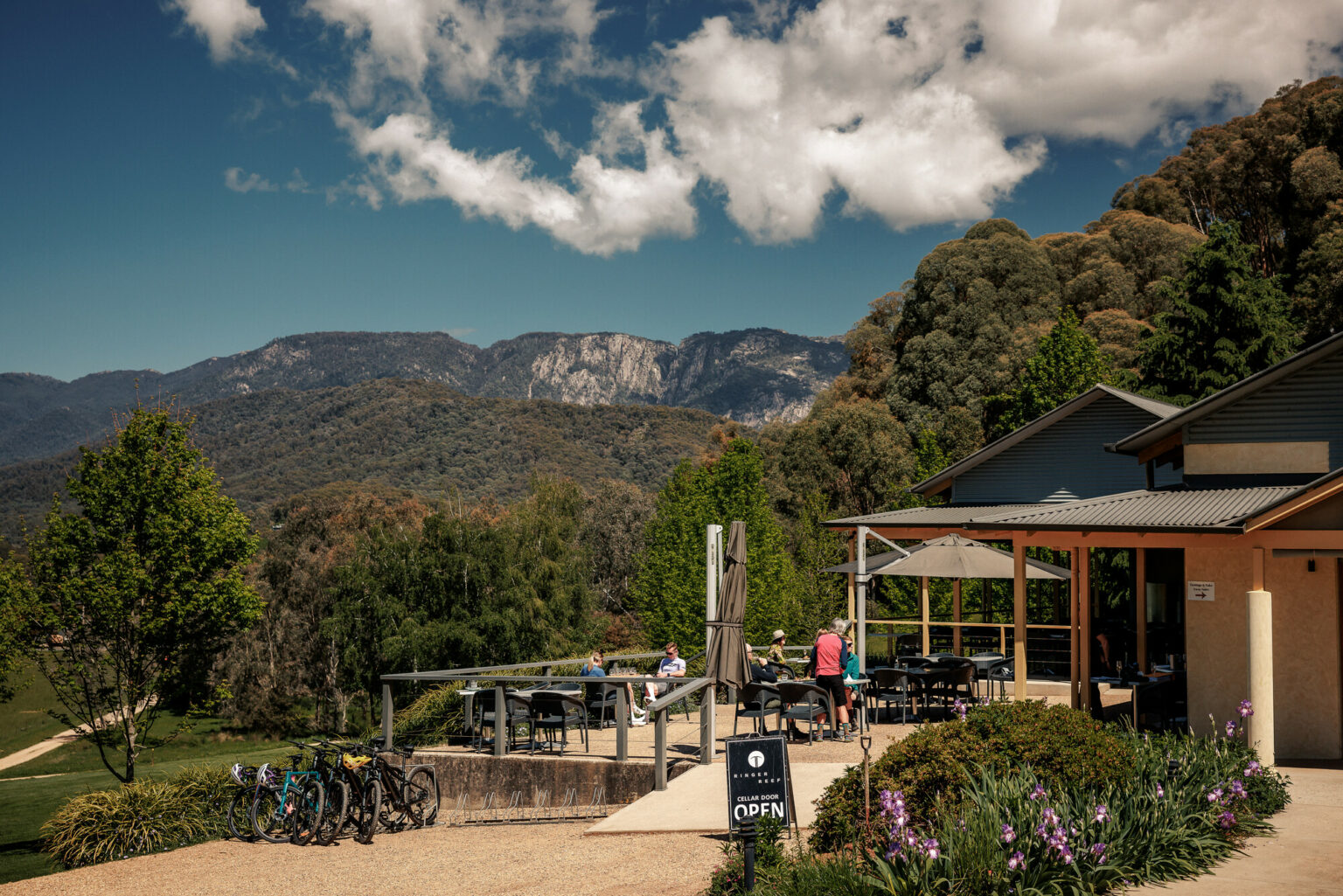 Revive Live Grants Program - Supporting Australian Live Music - Tourism ...