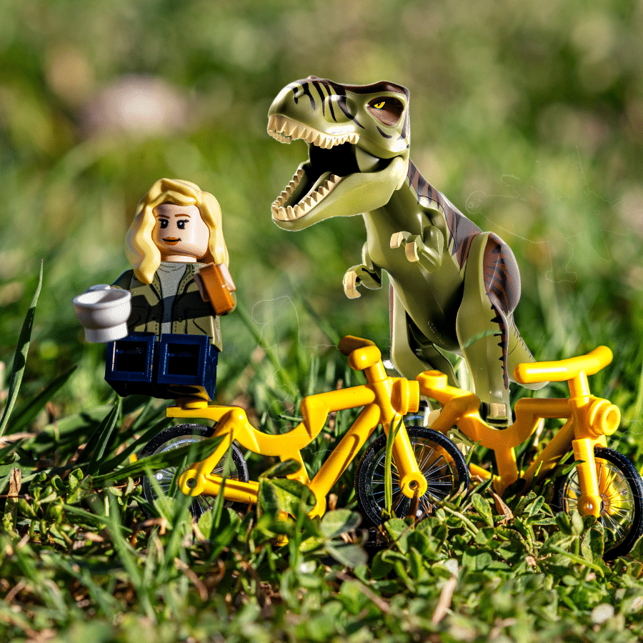 Meet the Team - Tourism North East